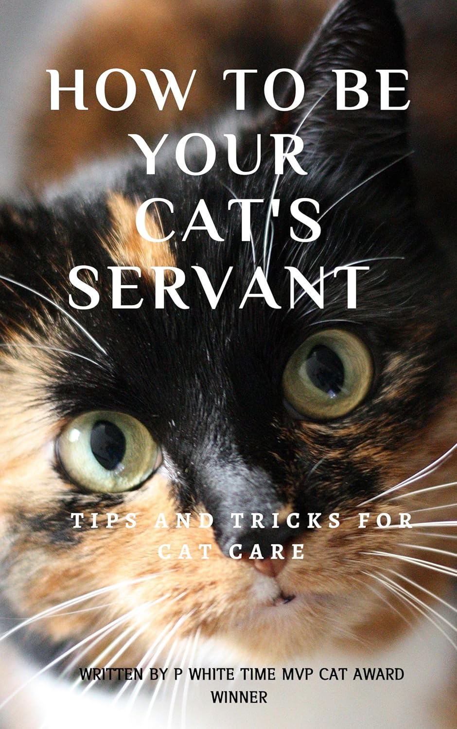 How To Be Your Cat's Servant: Insider Tips and Tricks you Need to ...