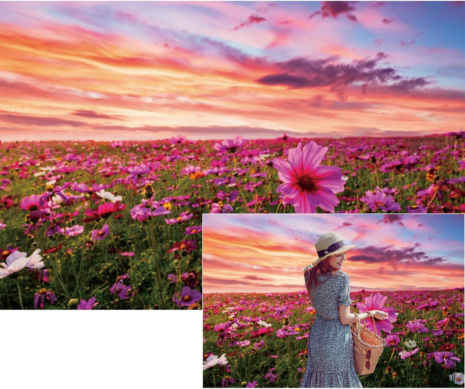 Amazon.com : YongFoto Wildflower Backdrop 7x5ft Flower Field Sky ...