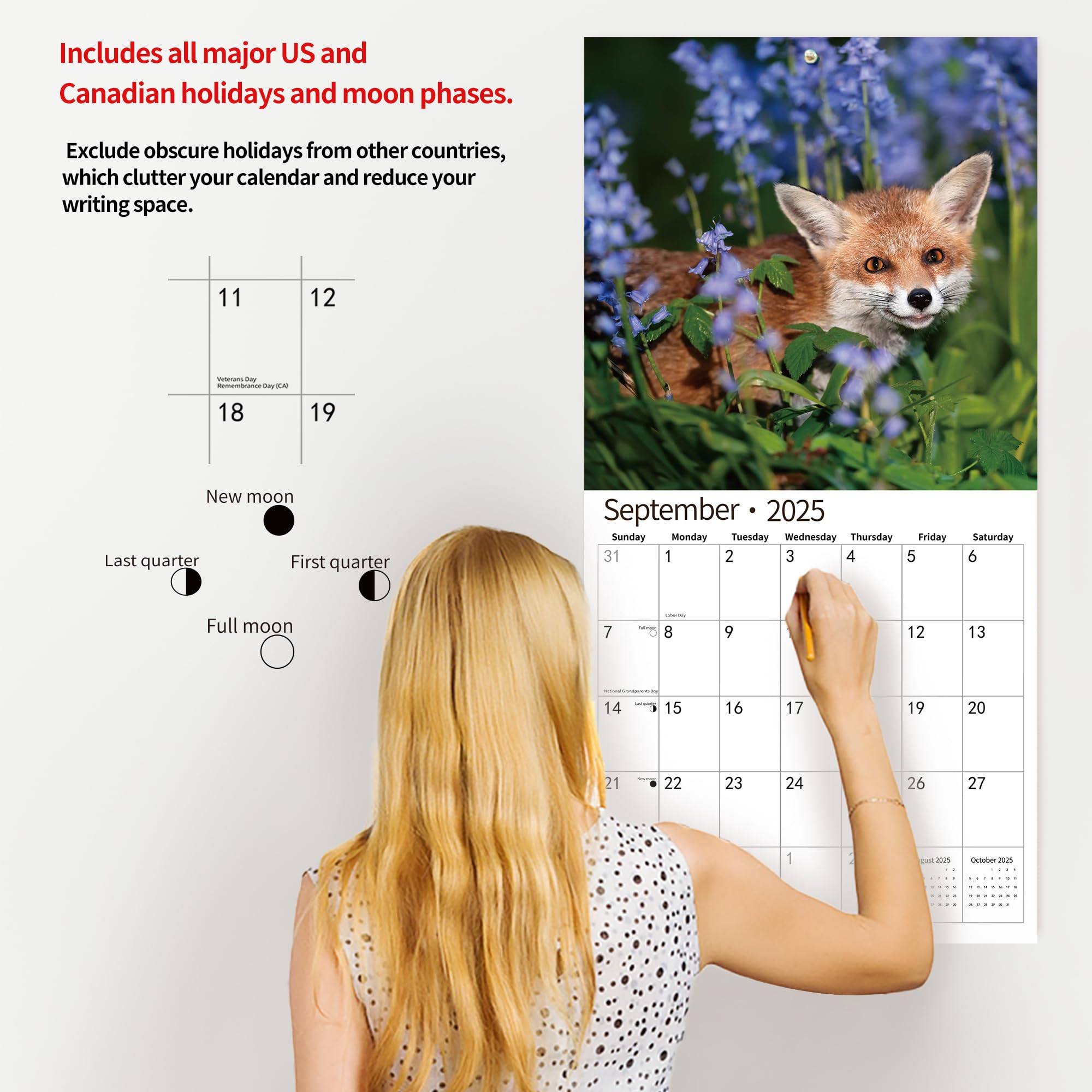 Snapklik.com : Windrio 2026 Wall Calendar, Calendar 2026, July 2025 ...
