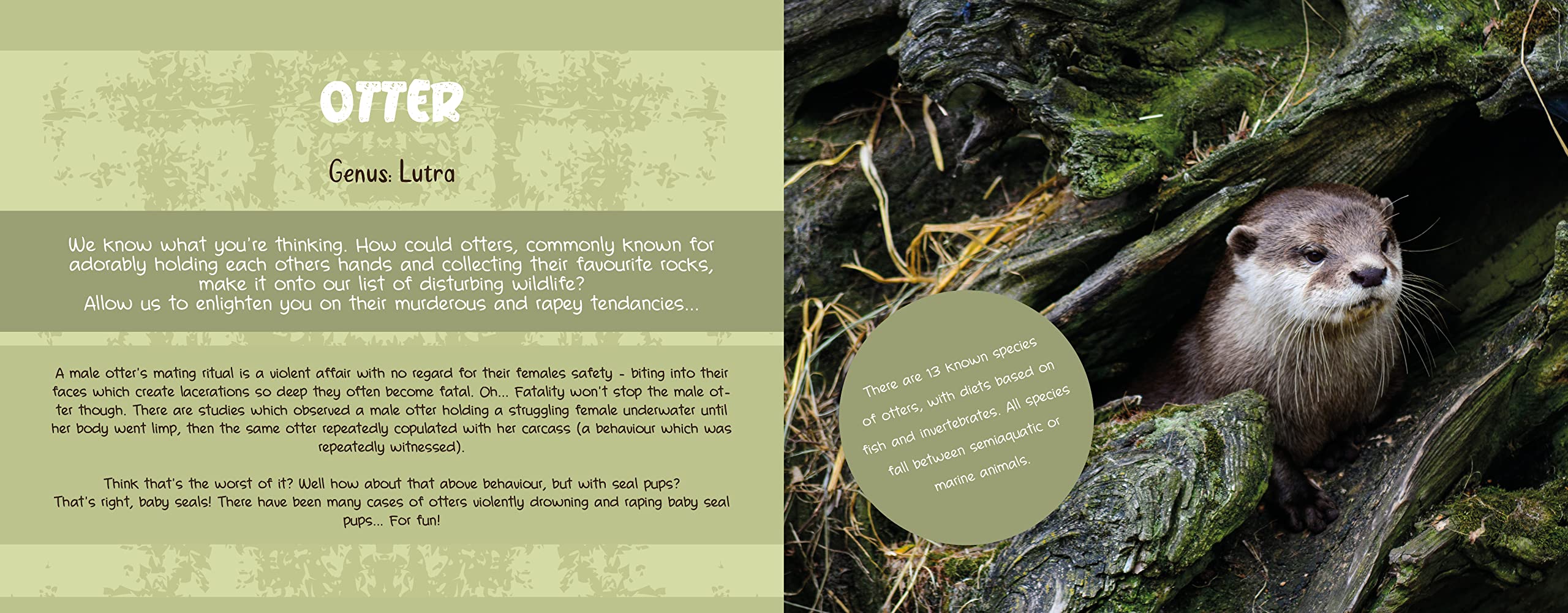 Oh Stop It You Otter