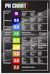 Bliss Monkey Co. PH Chart Poster - Alkaline Acidic Foods - Health ...