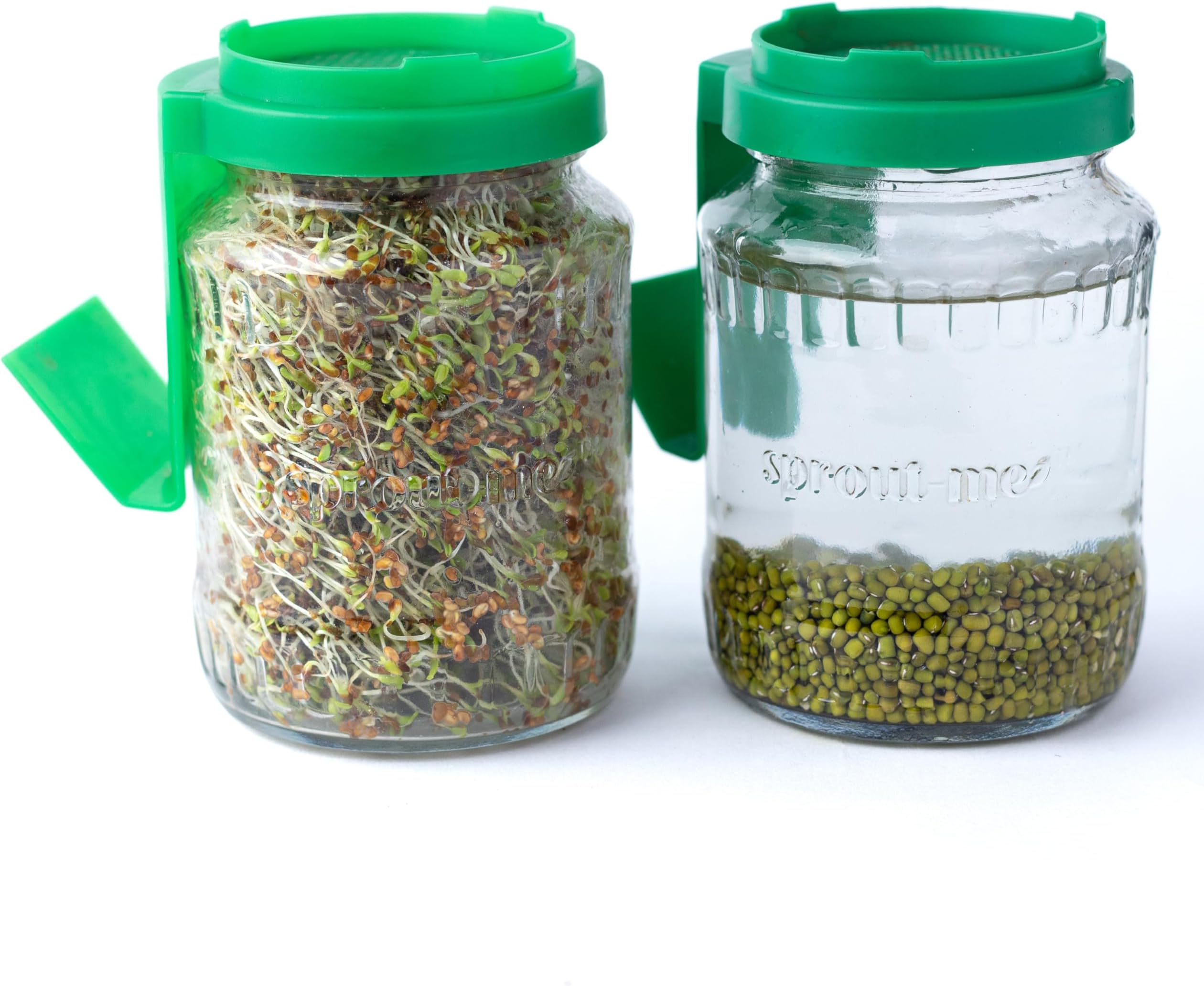 Buy Sprout Me Multi Use Sprouts Maker Box - Glass Mason Jar With Mesh ...