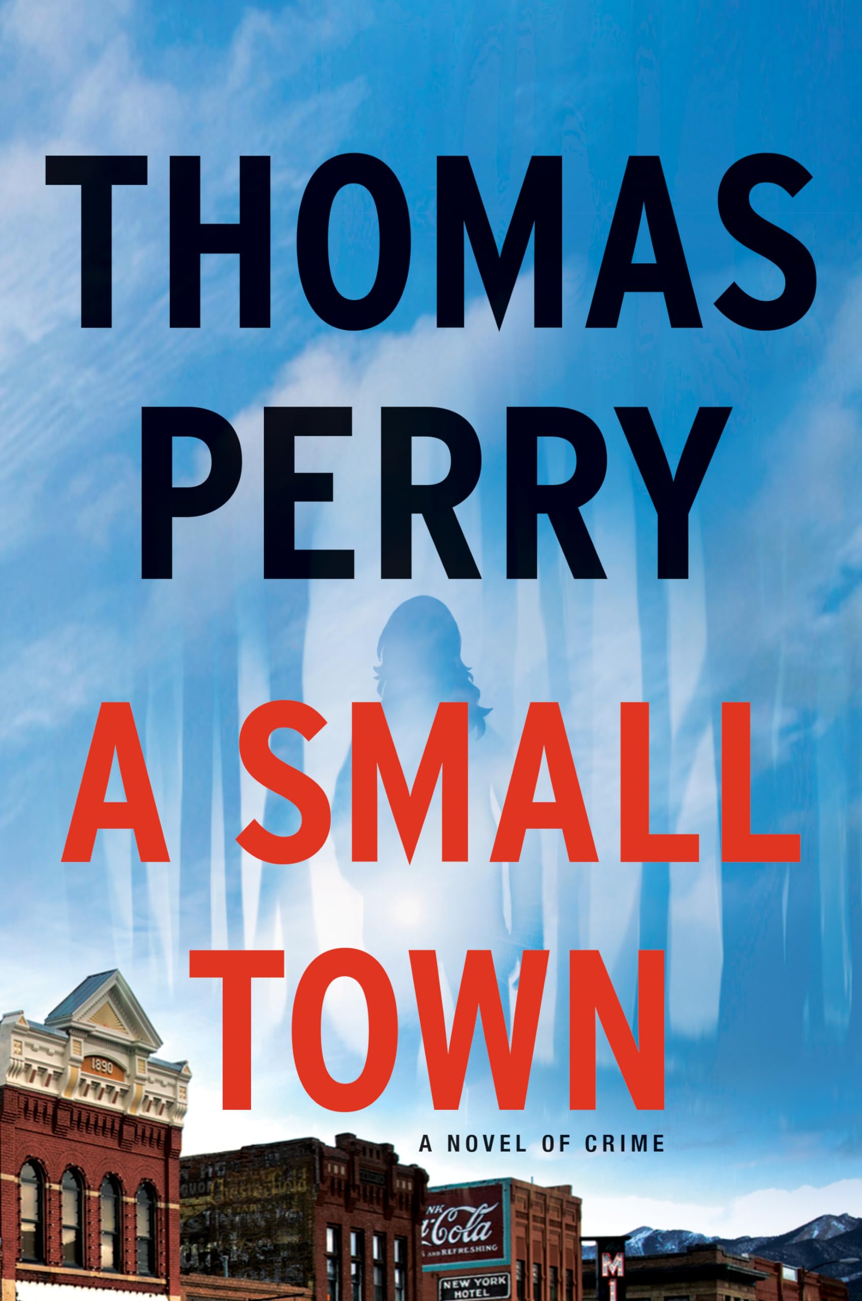 A Small Town: Perry, Thomas: 9780802148063: Amazon.com: Books