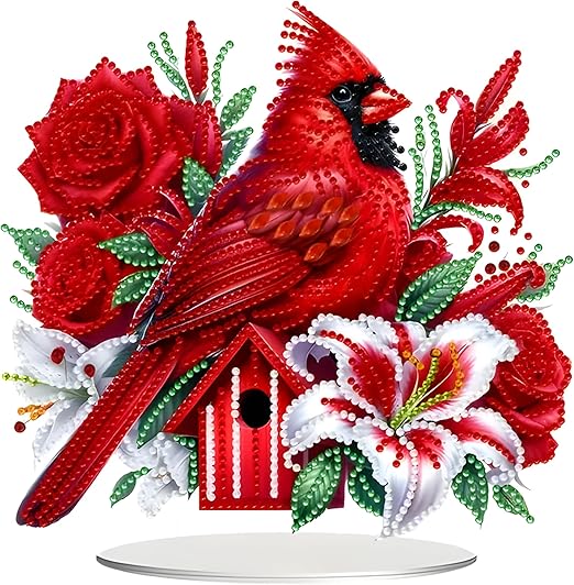 Amazon.com: JJFox DIY Tabletop Diamond Art Painting Kit，Special Shaped ...