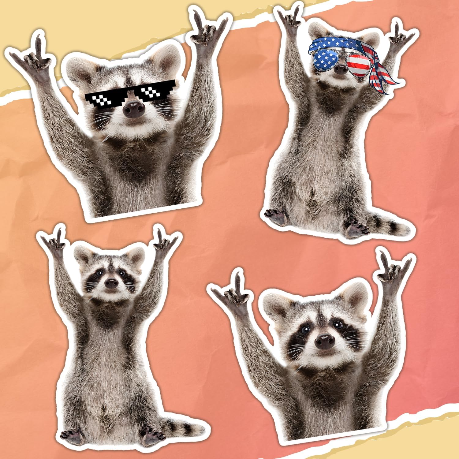 Amazon.com: (12 Pcs) Raccoon Stickers, Funny Rocking Raccoon Cute Car ...