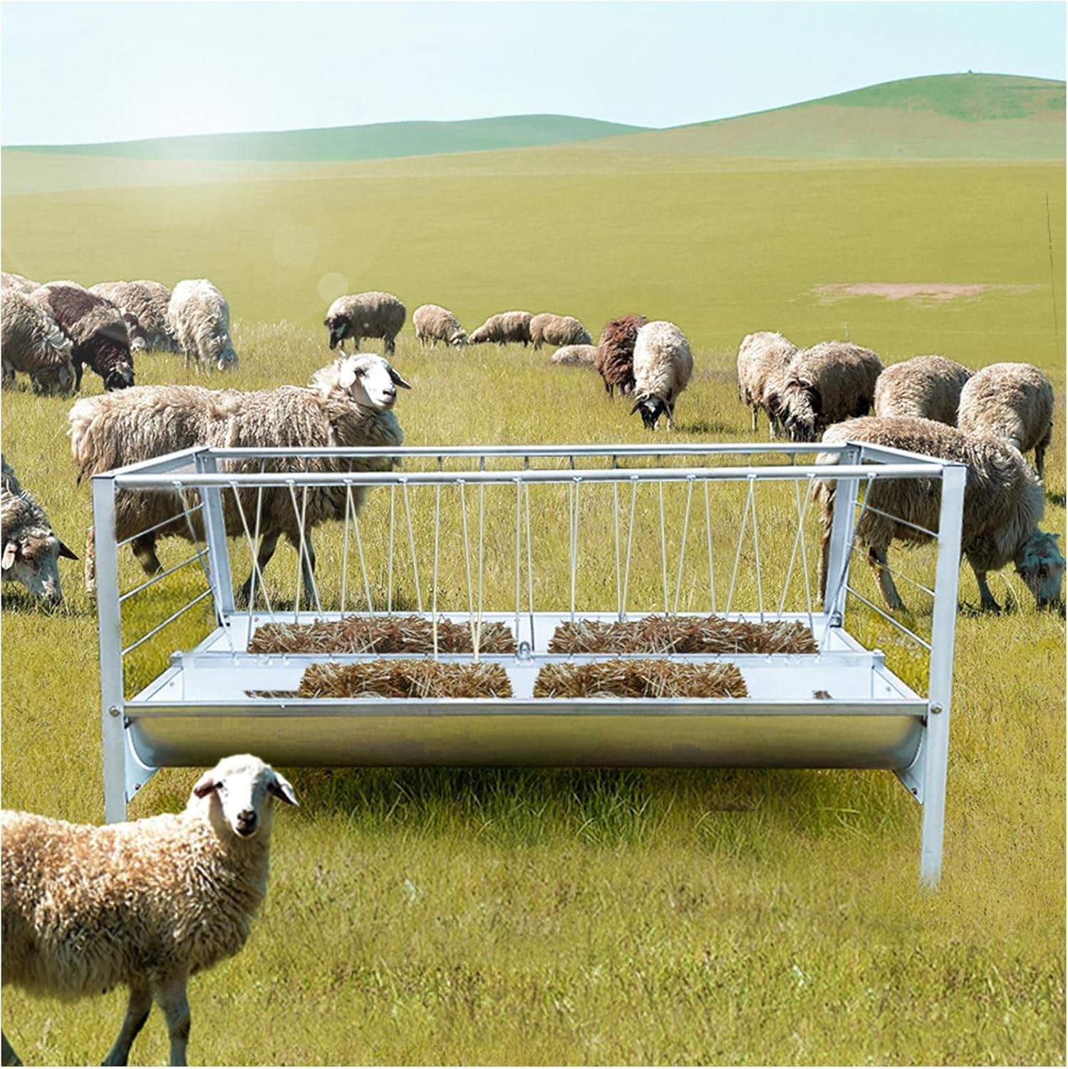 Amazon.com: Livestock 2 in 1 Grain & Hay Feeder, Large Capacity Goat ...