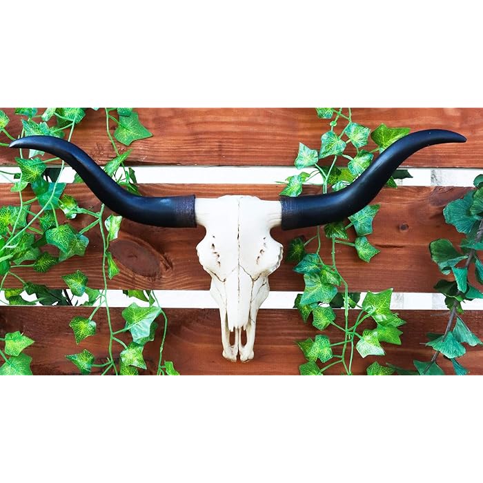 Buy Ebros Gift Texas Longhorn Steer Cattle Cow Skull Wall Mounted ...