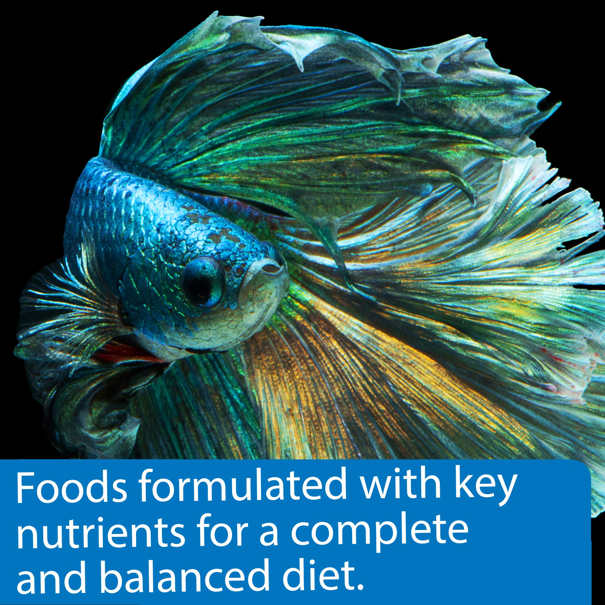 Betta Fish Food Flakes