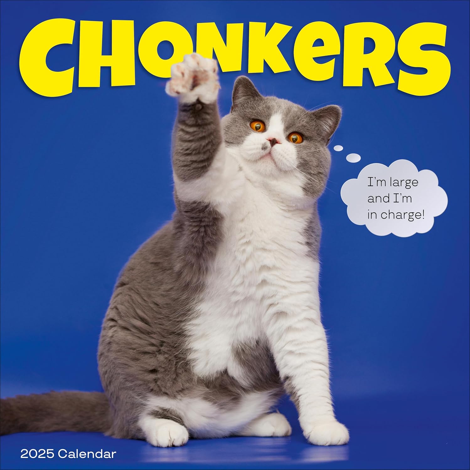 Amazon.com: Chonkers Wall Calendar 2025: A Year of Cats Large and In Charge: 9781523524723 ...
