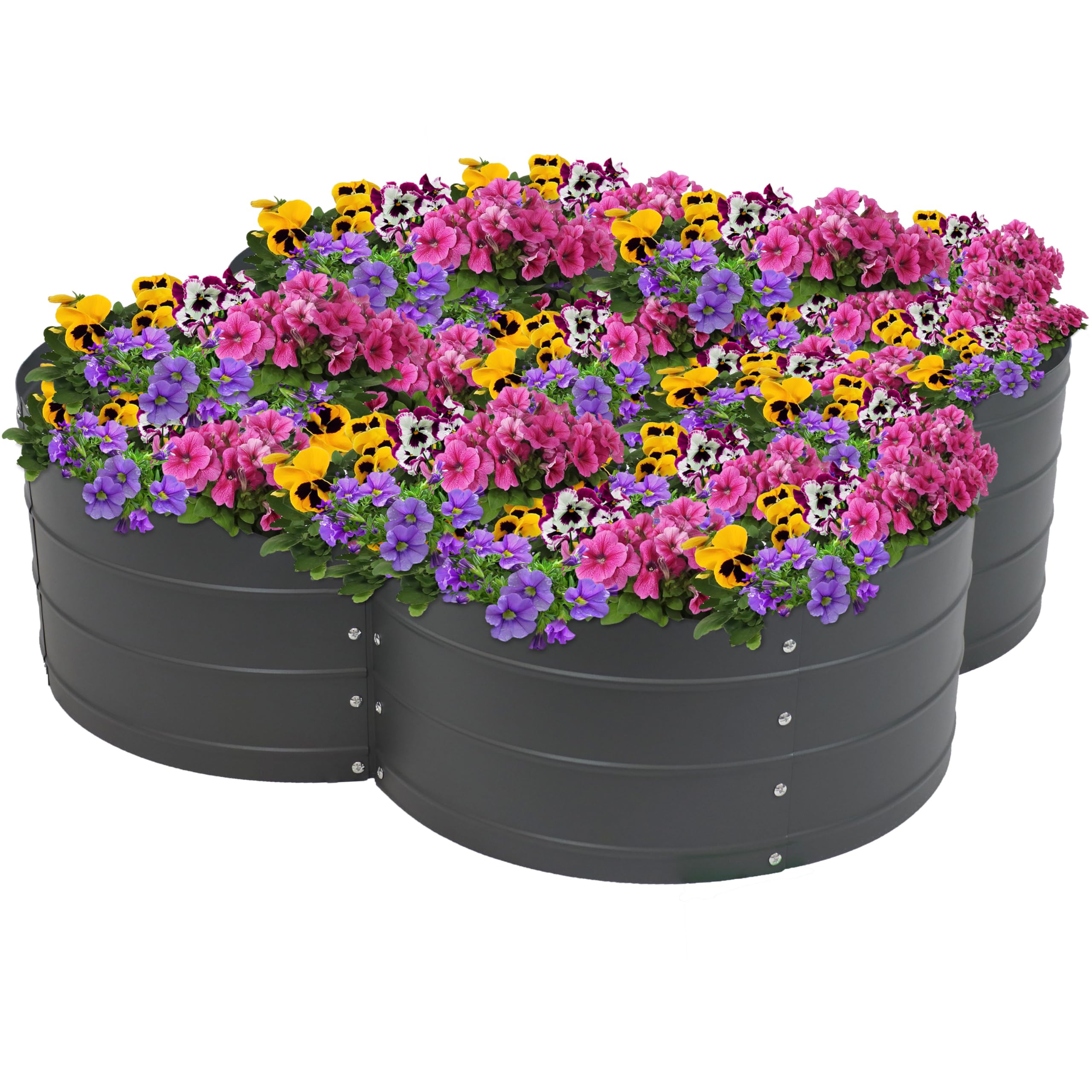 Amazon.com: Sunnydaze 4-Leaf Clover-Shaped Galvanized Steel Raised ...