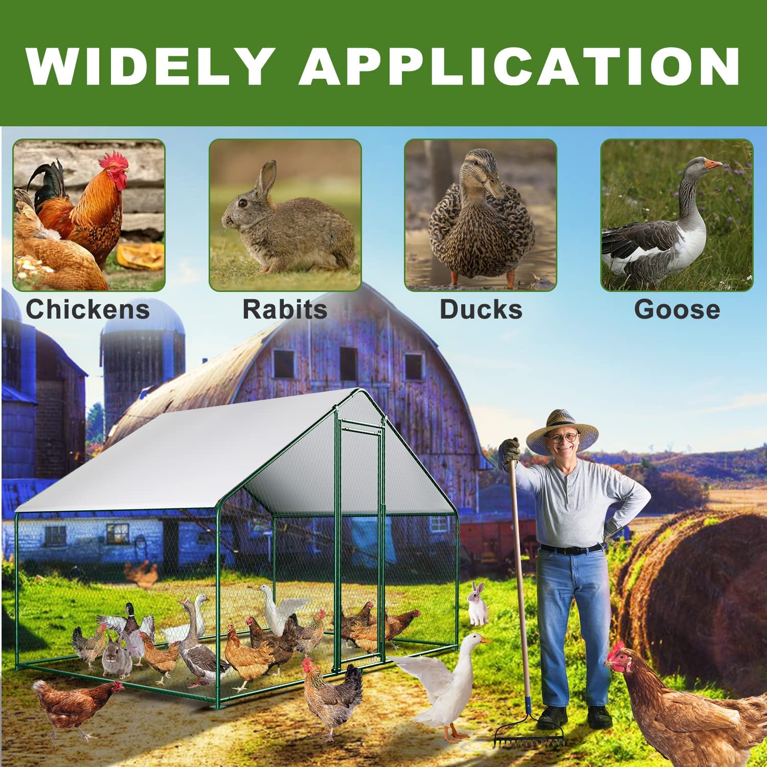 Snapklik.com : Belinova Chicken Coops For 6/10 Chickens, Green Large ...