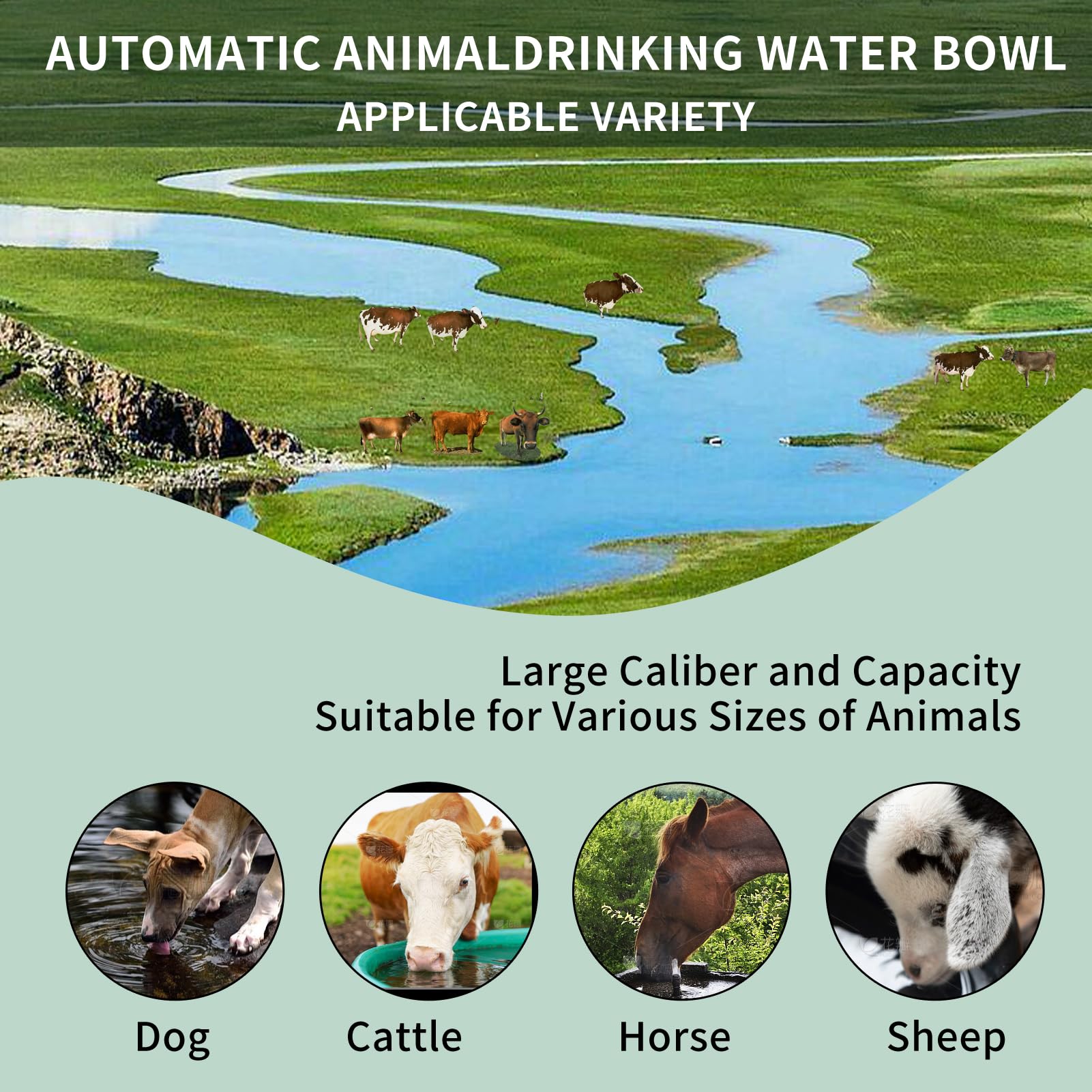 Animals Drinking Water