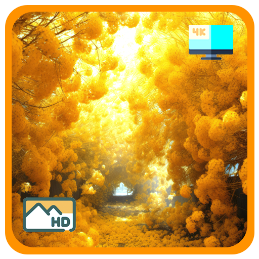 Autumn Leaves Harmony – Golden Fall Scenery with Peaceful Nature Sounds ...