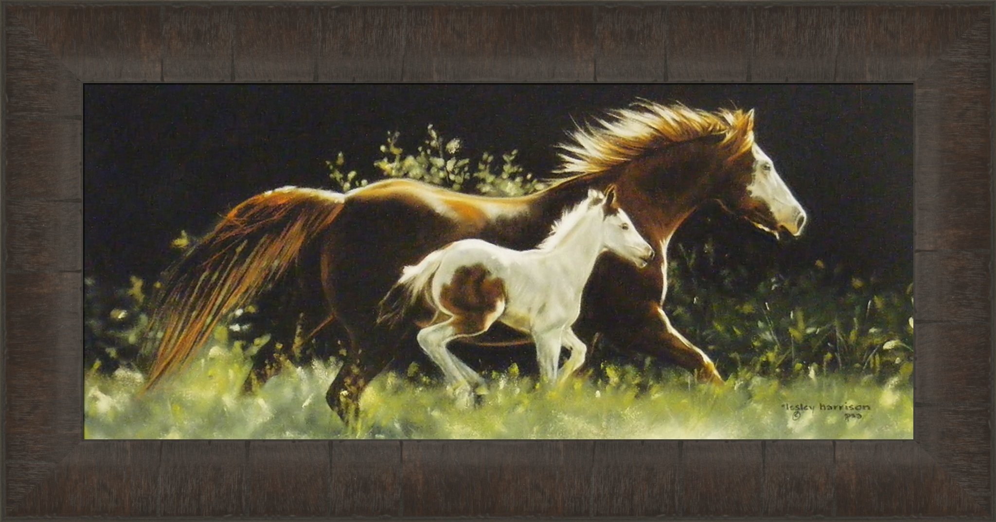 El Caballo Lesley Harrison