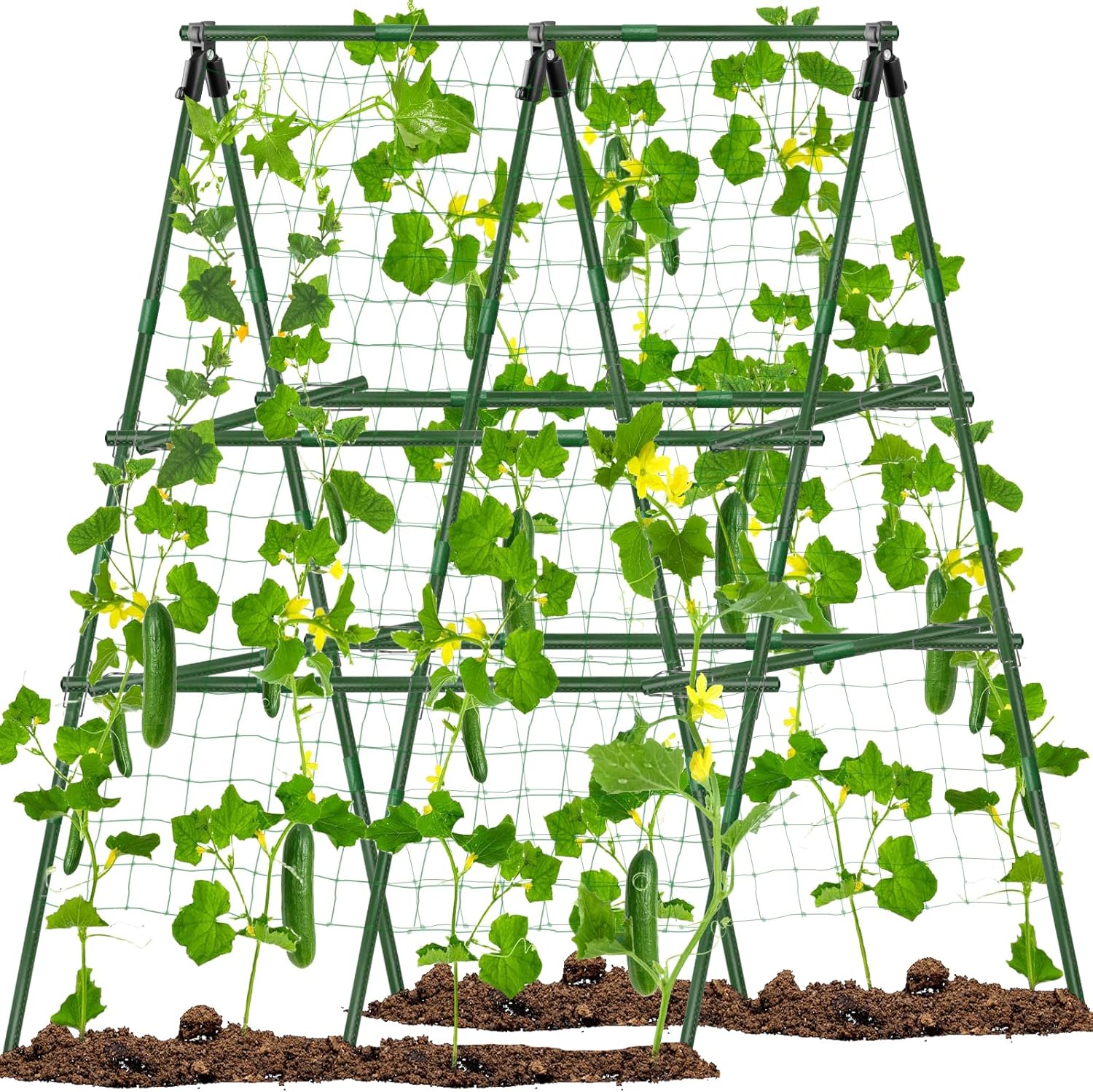 Amazon.com : Cucumber Trellis, 63"X 47" Cucumber Trellis for Raised Bed ...