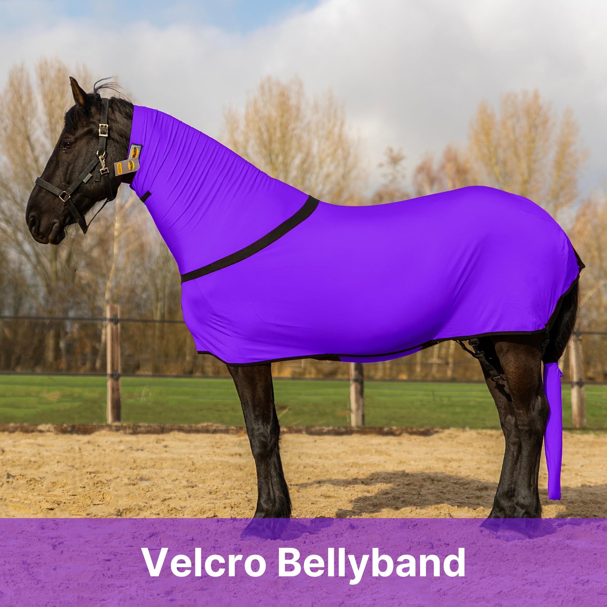 Snapklik.com : RESISTANCE Premium Horse Sleazy Full Body Slicker