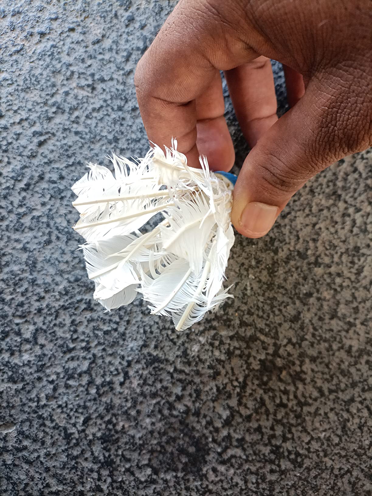 Batminton Settle Cork Pack of 10 Pieces for Outdoor and Indoor Sports ...