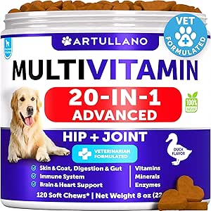 Amazon.com : Dog Multivitamin Chewable with Glucosamine 20 in 1 - Dog Vitamins and Supplements ...