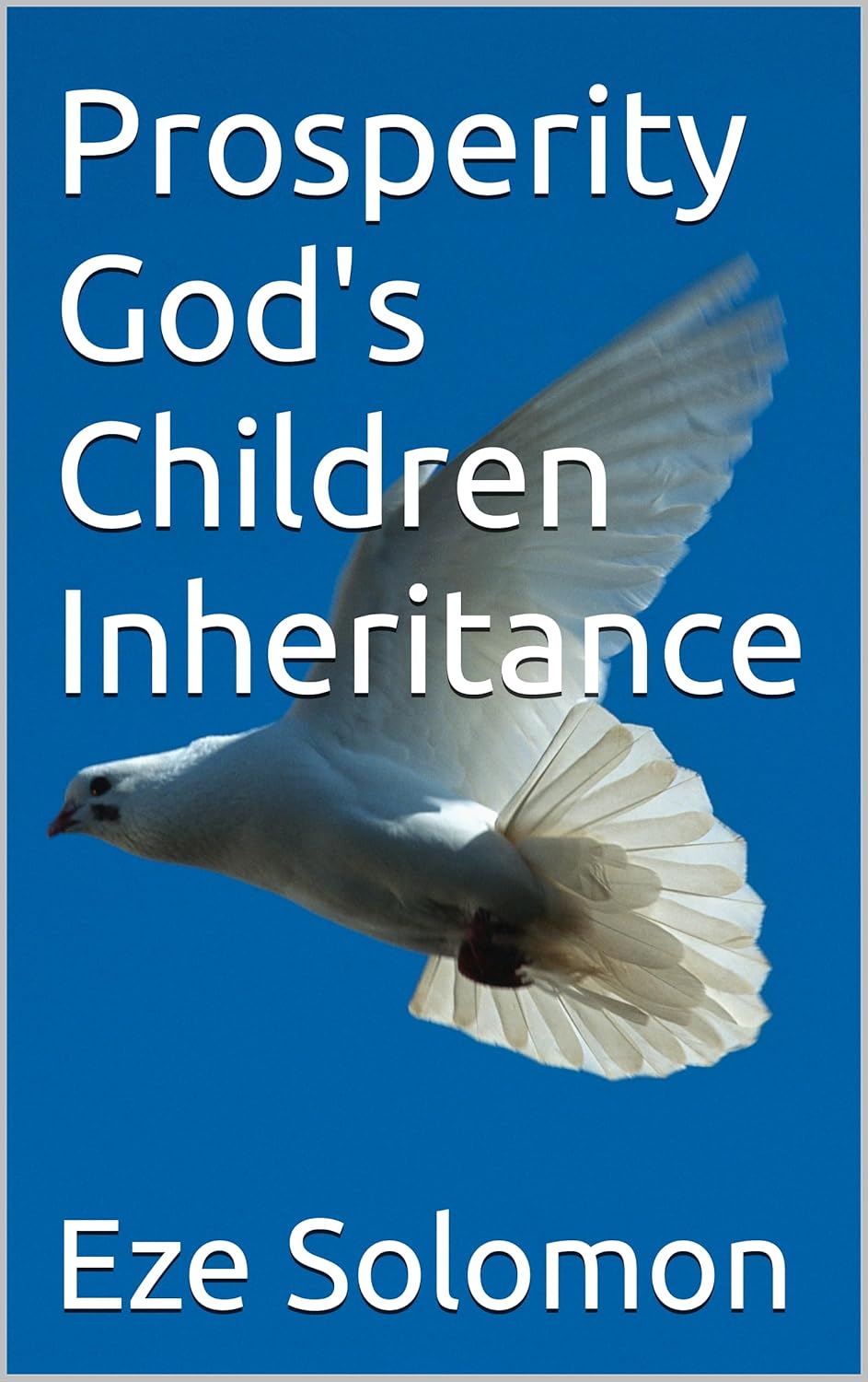 Amazon.com: Prosperity God's Children Inheritance eBook : Solomon , Eze , Solomon , Eze: Kindle ...