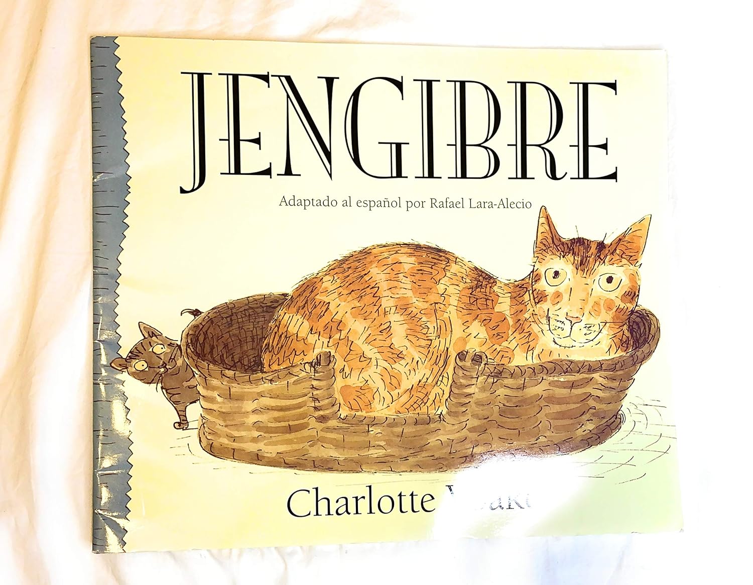DLM EARLY CHILDHOOD EXPRESS - GINGER BIG BOOK SPANISH (Other) : Sra ...