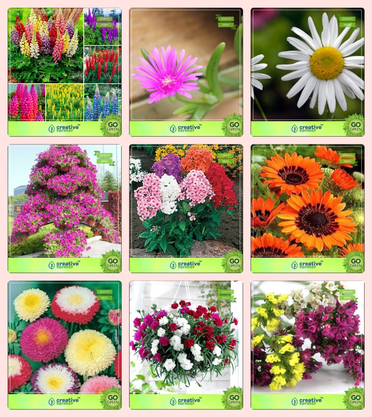 Creative Farmer Flower Seeds : Flower Seeds For Containers Combo Lupin ...