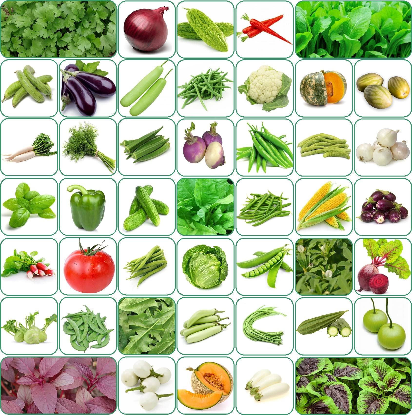 AARNA EXOTICS Vegetable Fruits and Herb Seeds Combo- 36 Varieties,1810 ...