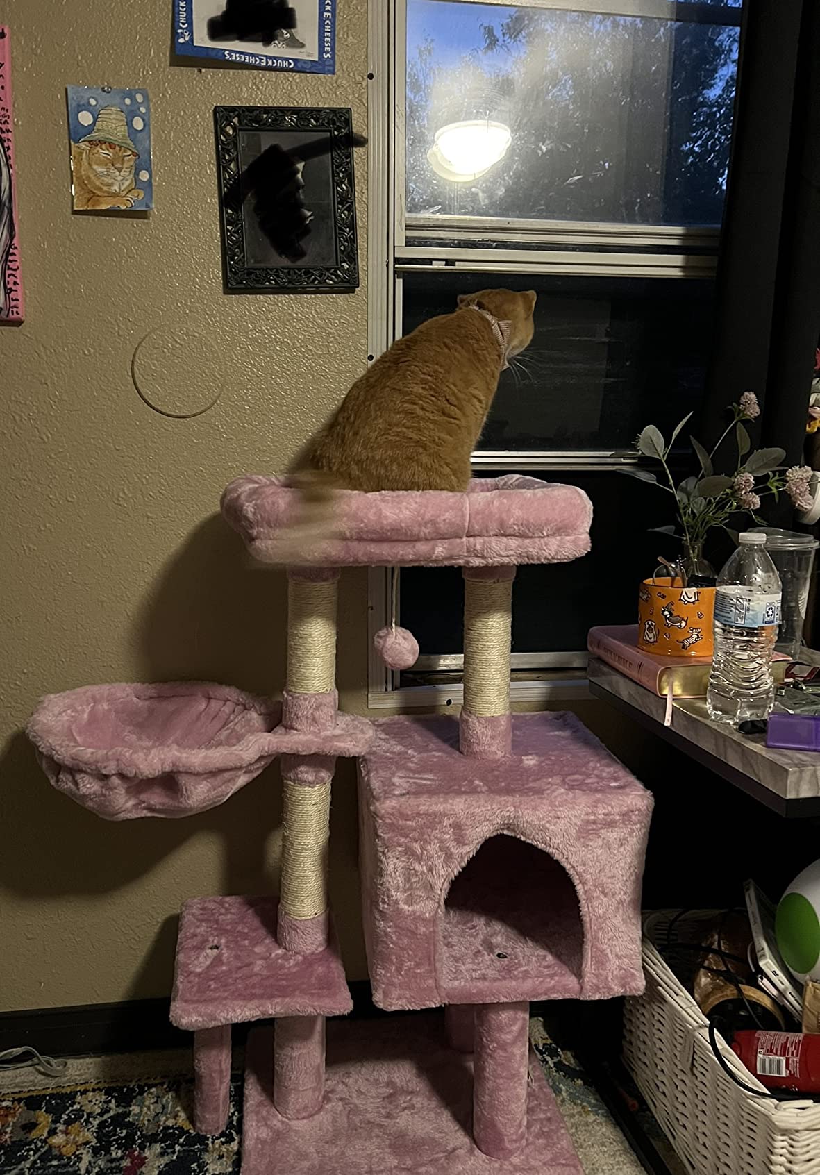 $10/mo - Finance FISH&NAP Cute Cat Tree Kitten Cat Tower for Indoor Cat ...
