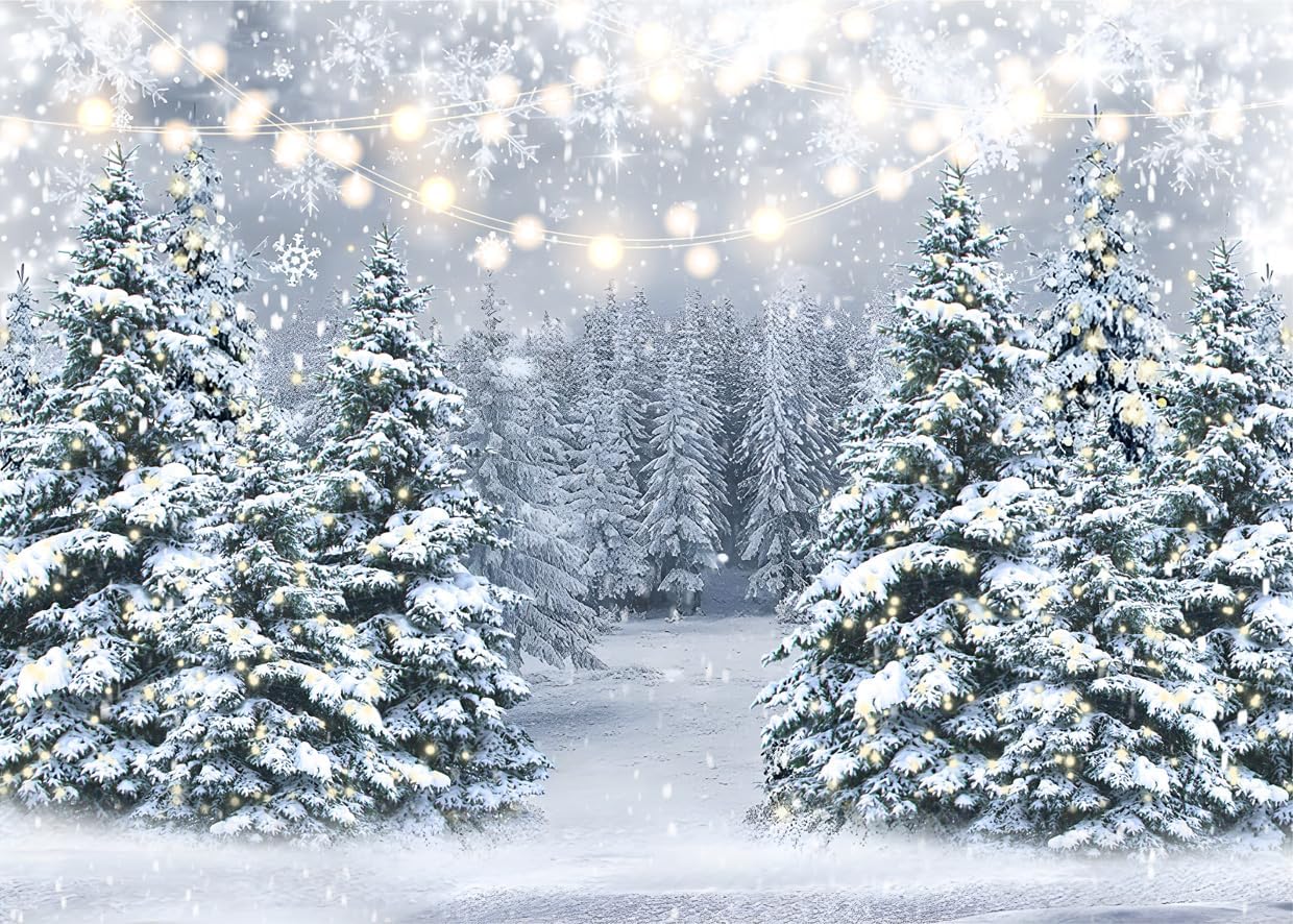 Amazon.com : LYCGS 7X5ft Winter Snow Scenery Backdrop Glitter Winter ...