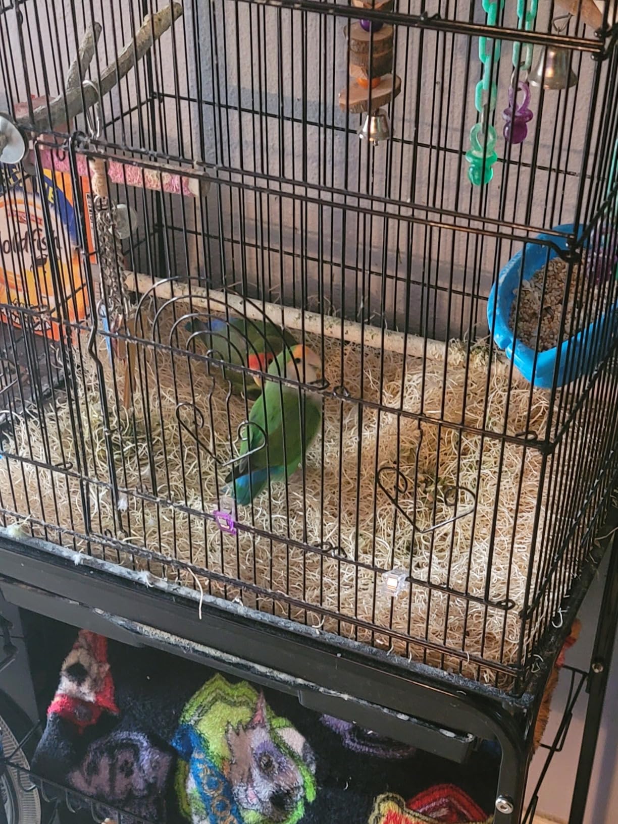 $6/mo - Finance Small Pet Select - Chicken Nesting Pads (12-Pack ...