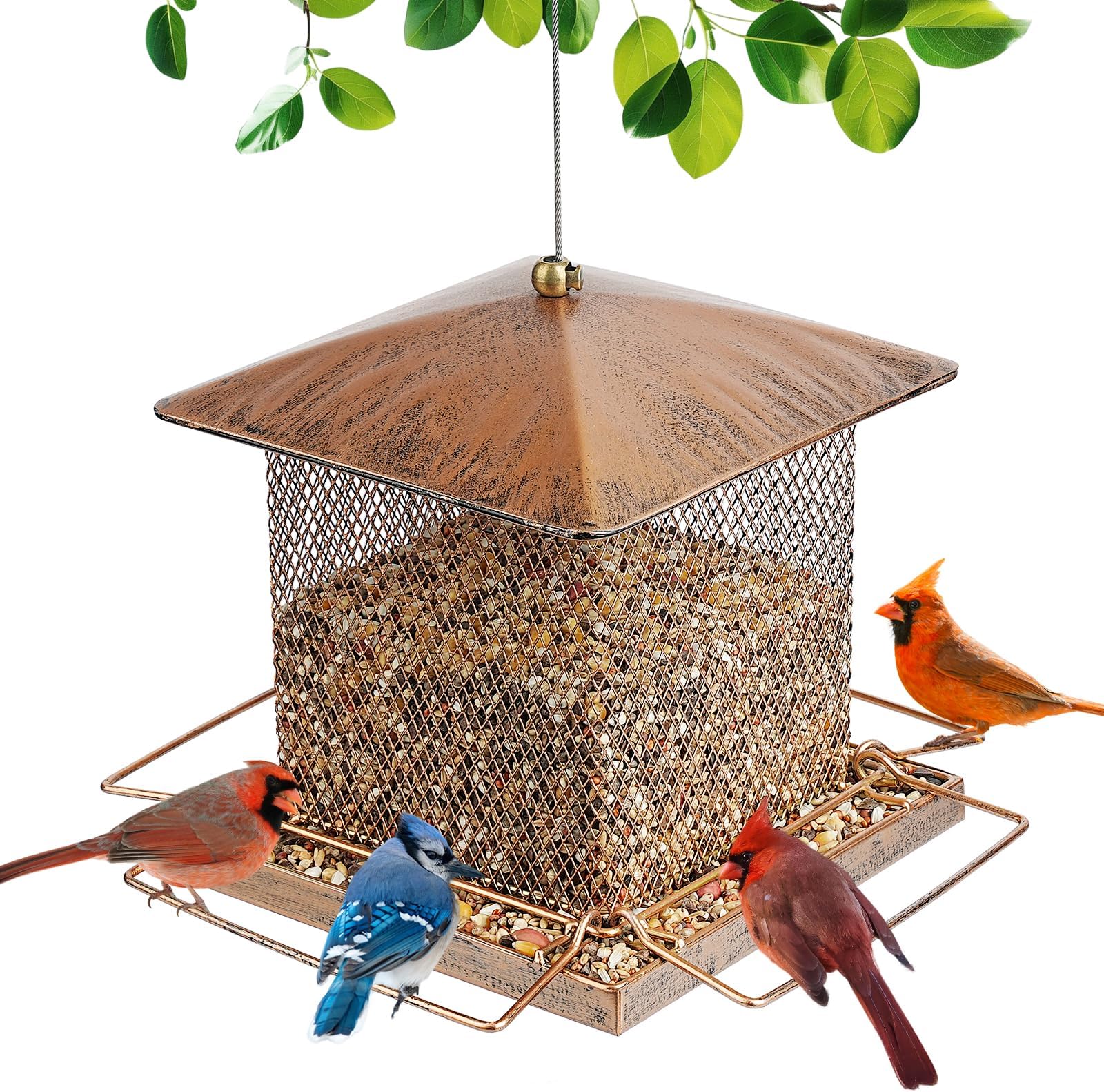 Amazon.com : Squirrel Proof Bird Feeders, Heavy Duty Metal Wild Bird ...