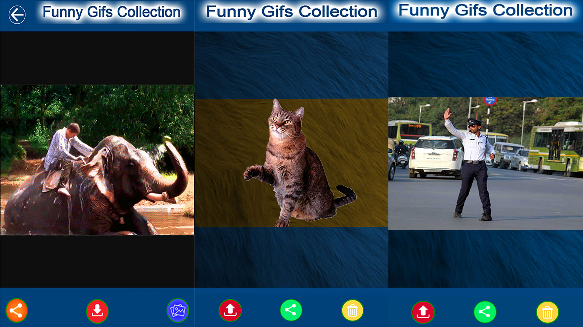 Funny GifS Collection - App on the Amazon Appstore