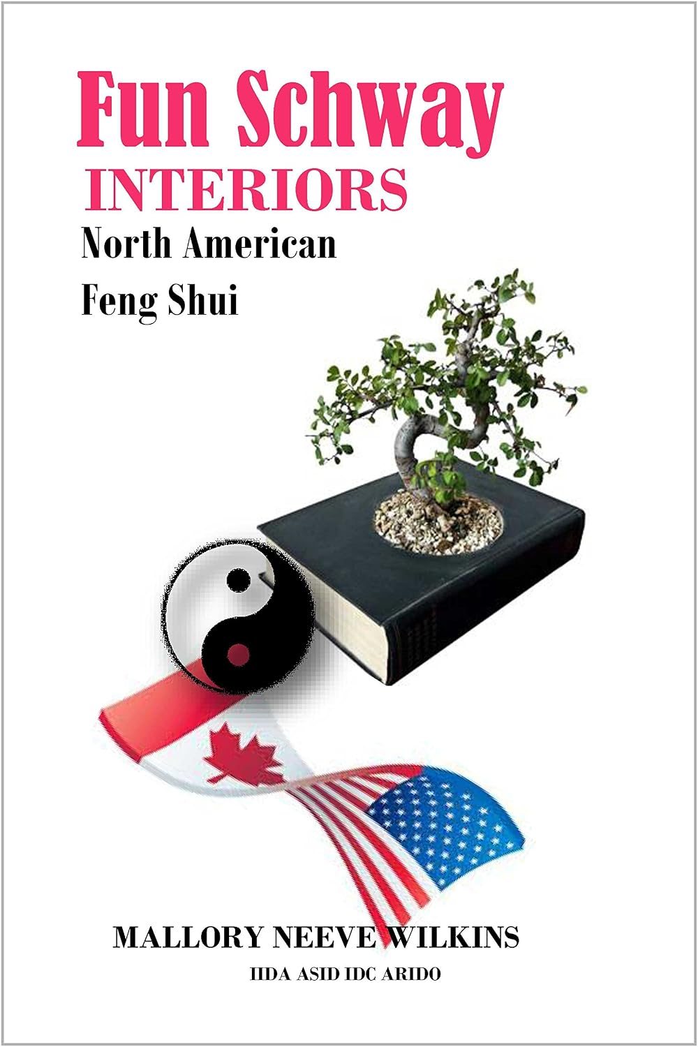 Fun Schway Interiors North American Feng Shui - Kindle edition by ...