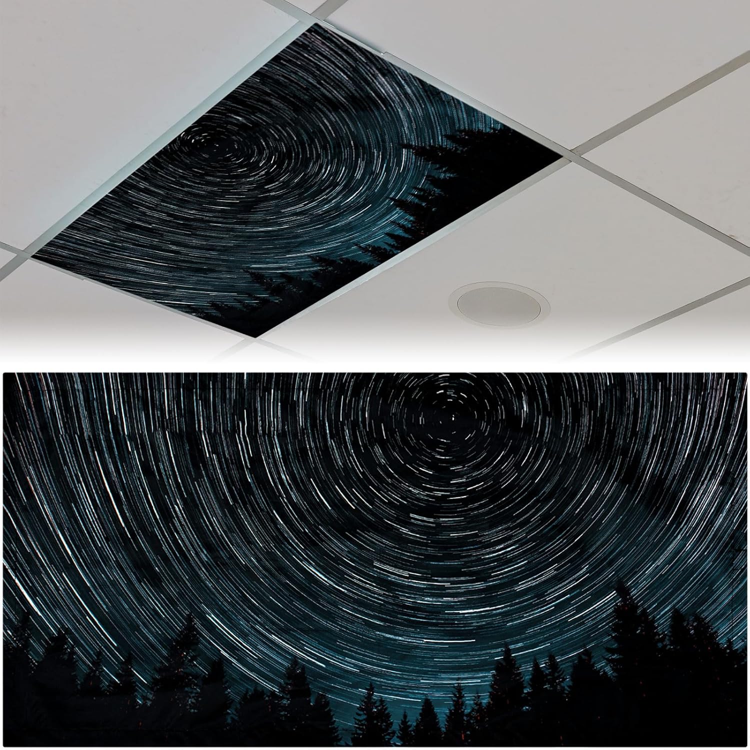 Patelai 4 x 2 Feet Fluorescent Light Cover for Ceiling Classroom ...