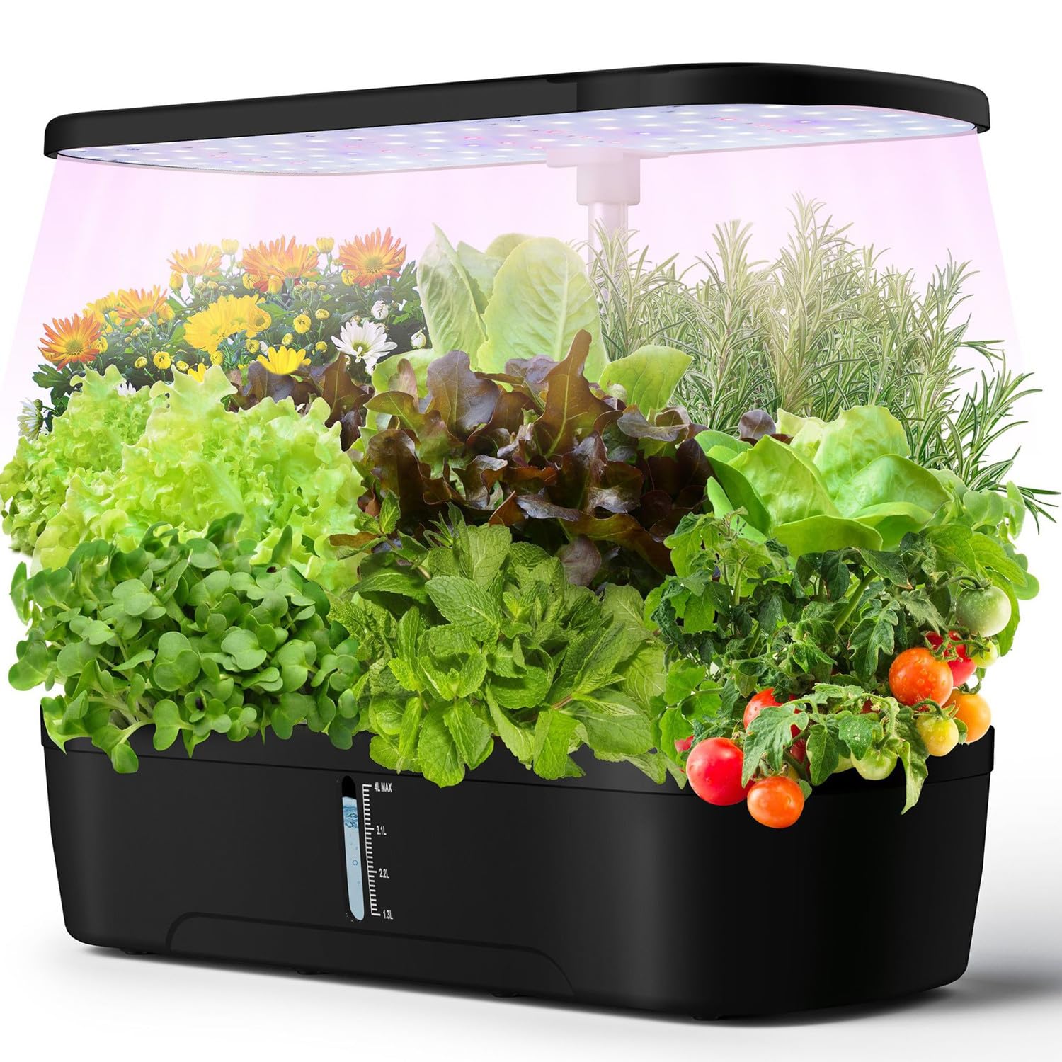 Hydroponics Growing System,12 Pods Indoor Intelligent Garden Kit, Herb ...