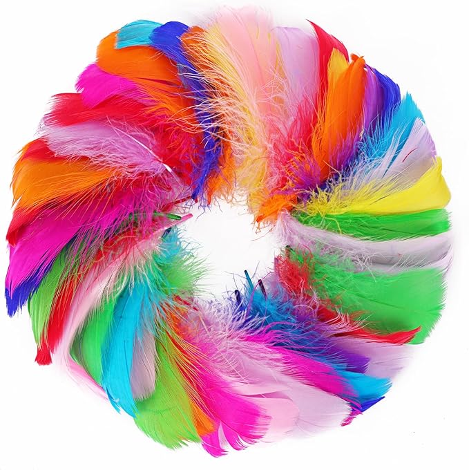 Amazon.com: Coceca 300pcs Colorful Feathers 3-5 Inches Bulk Feathers ...