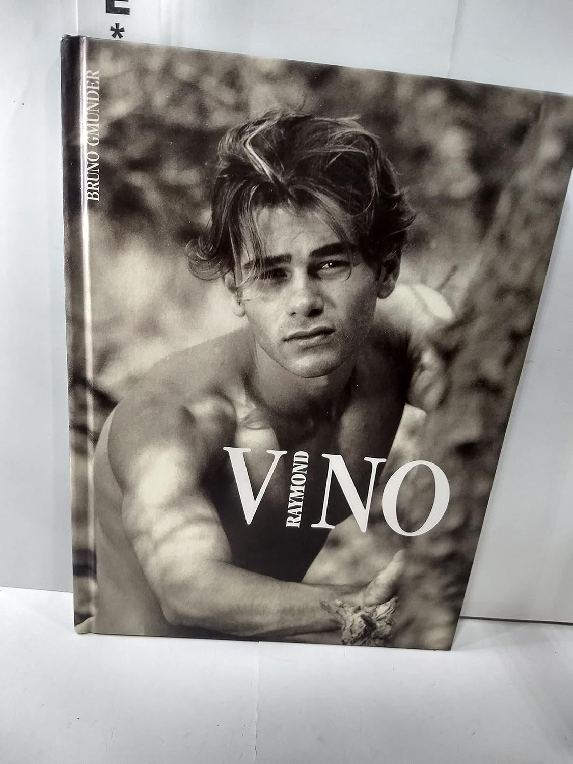 Raymond Vino: Photographs: Vino, Raymond: 9783861871651: Amazon.com: Books