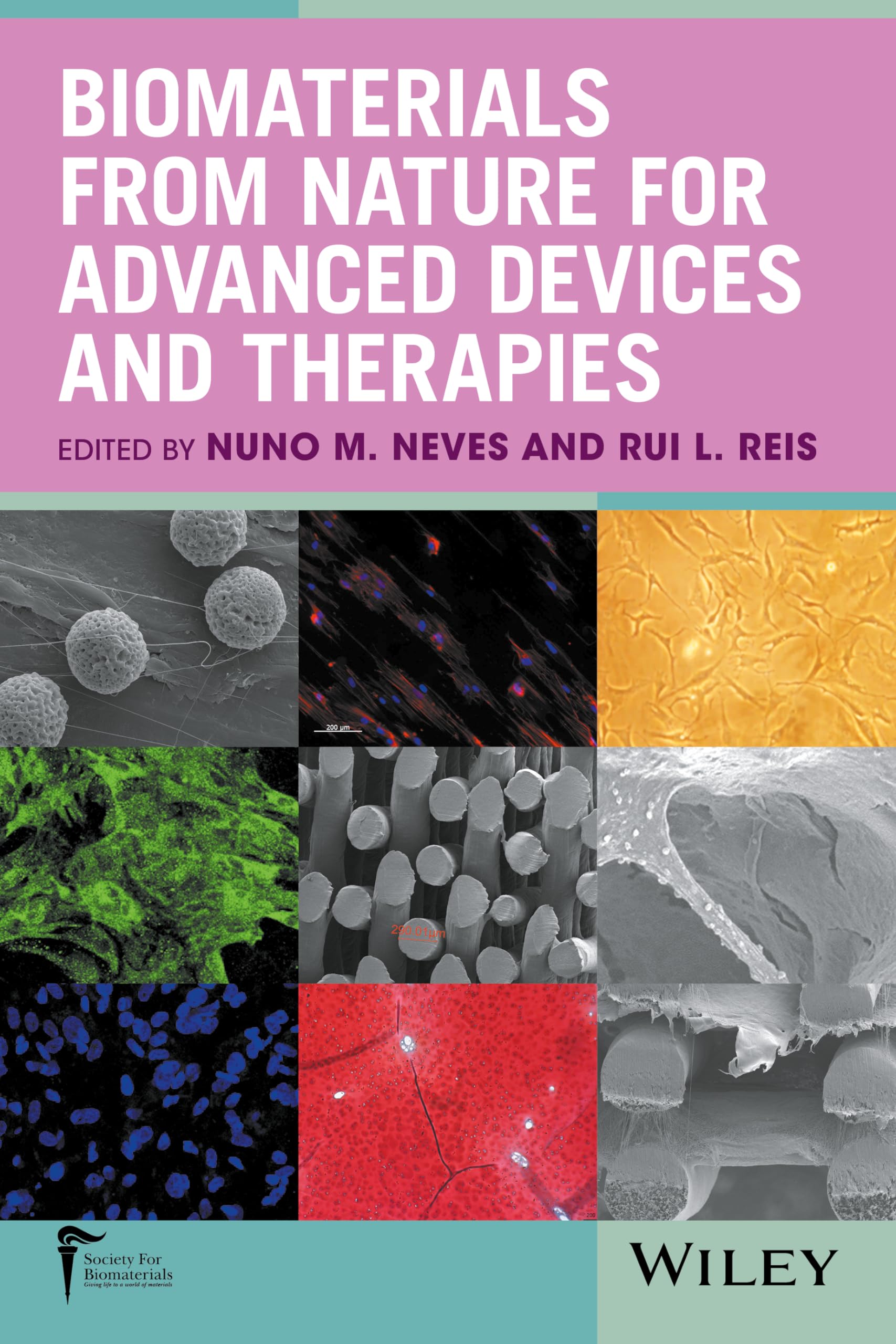Amazon.com: Biomaterials from Nature for Advanced Devices and Therapies ...