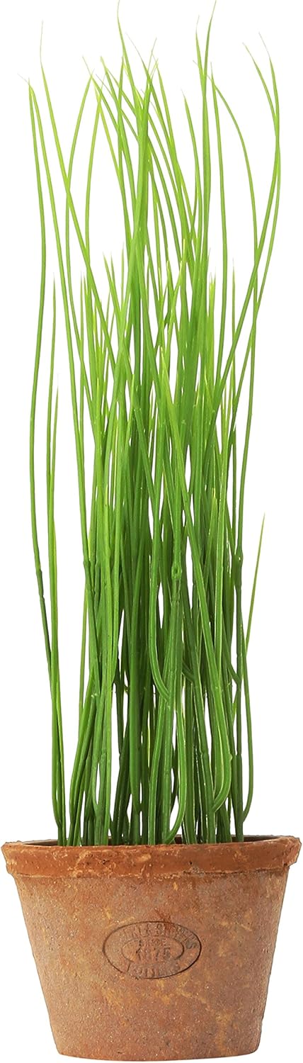 Esschert’s Design AH005 Small Artificial Aged Terracotta Pot – Chives ...