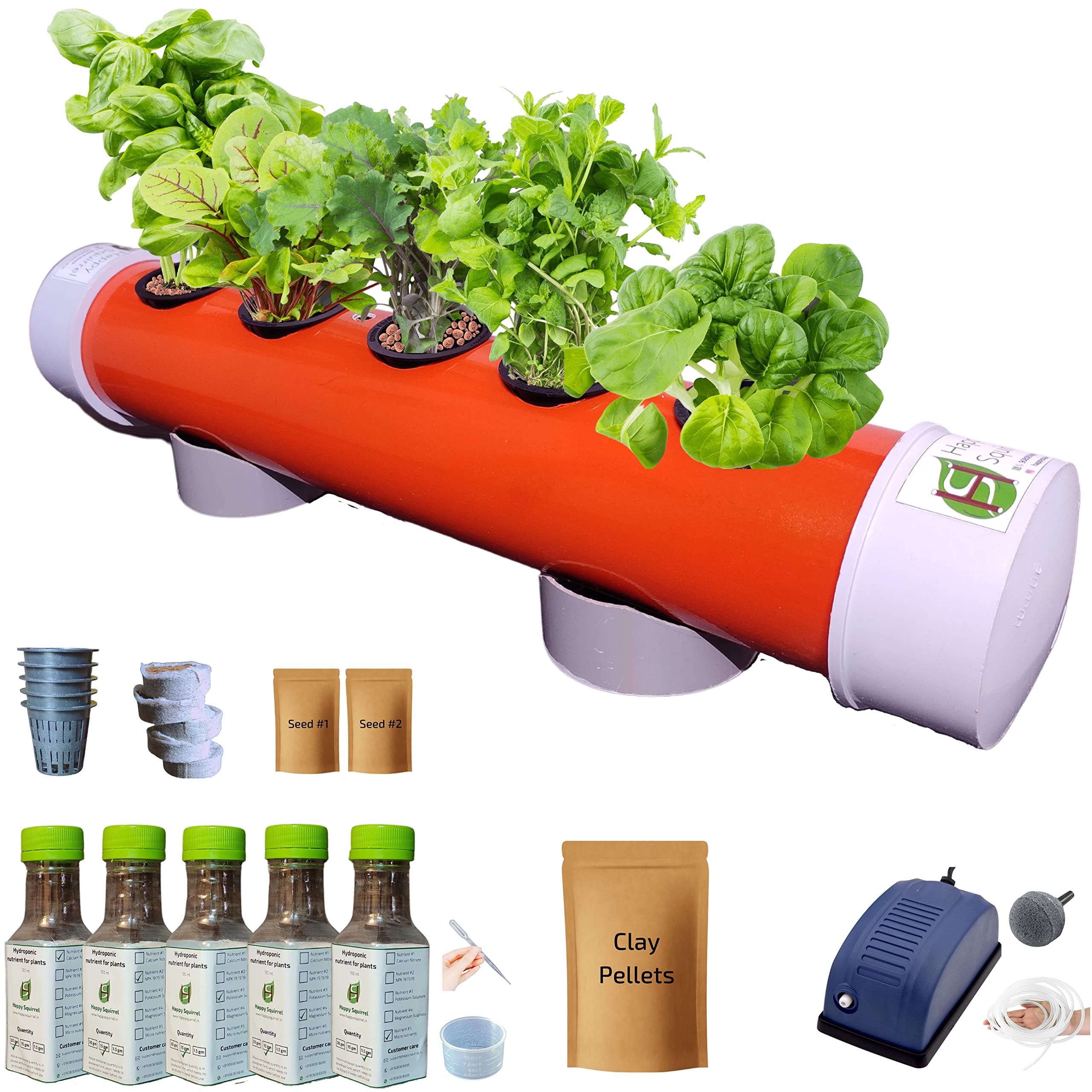 Happy Squirrel Beginner Hydroponic Kit for Home (5 Plants) Hydroponic ...