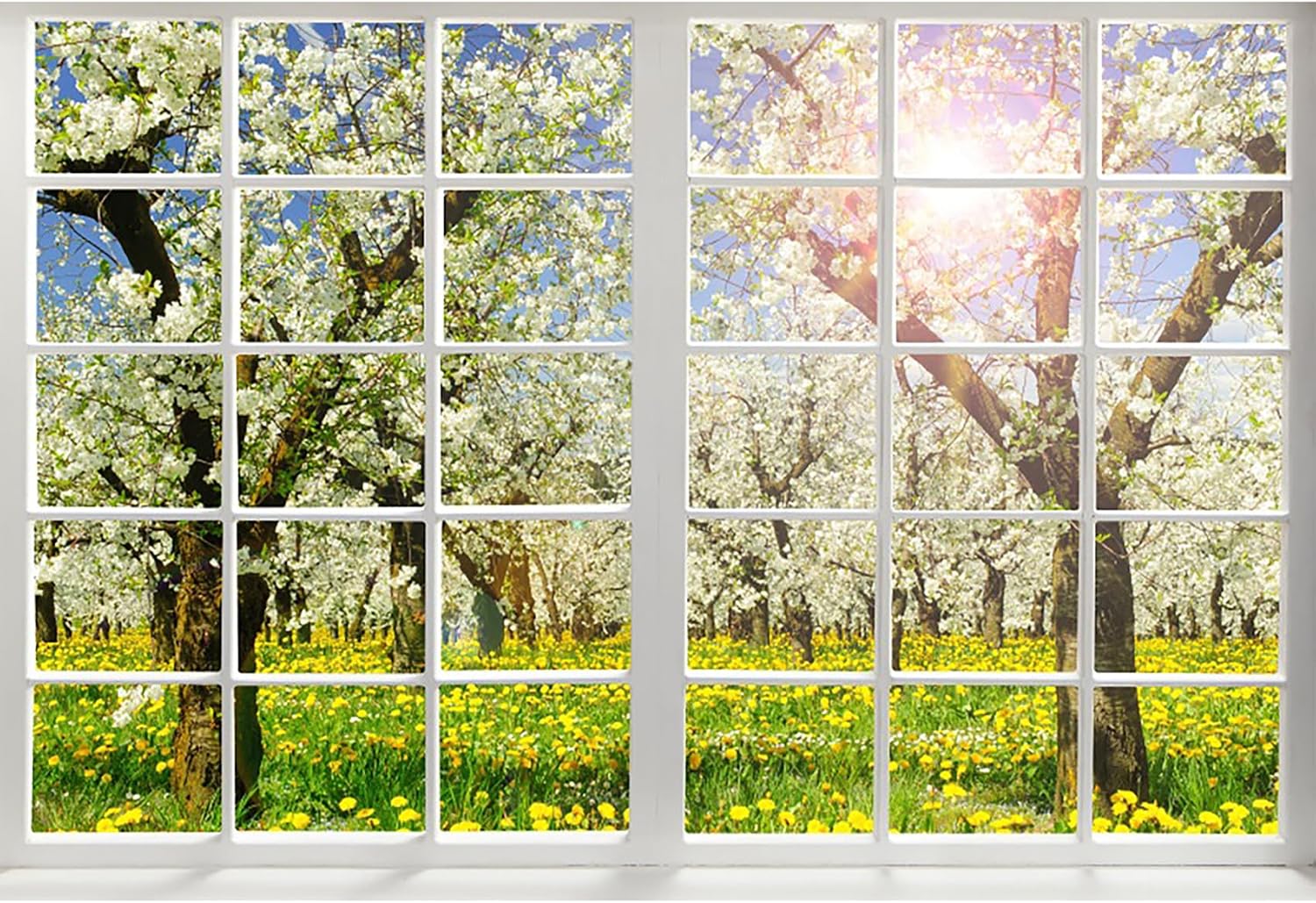 Amazon.com : Renaiss 7x5ft Spring Scenery French Window Backdrop for ...