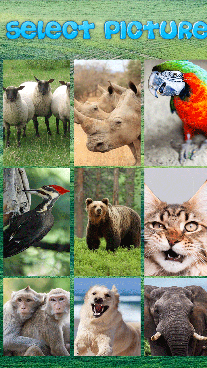 Animals Game - App on the Amazon Appstore