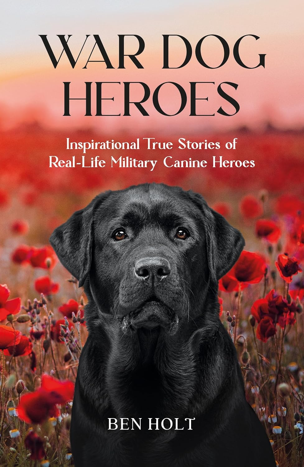 War Dog Heroes: Inspirational True Stories of Real-Life Military Canine ...