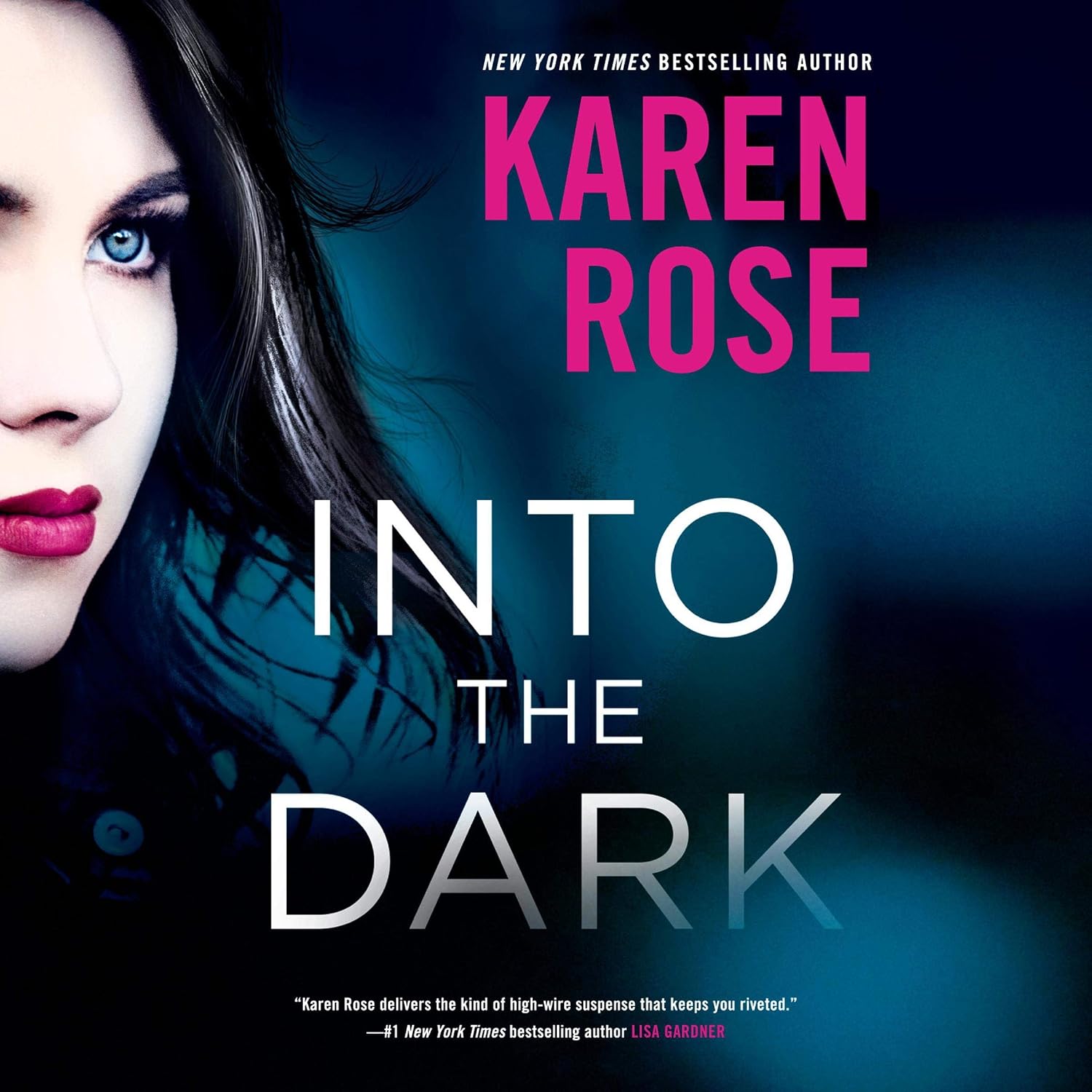 Amazon.com: Into the Dark (Audible Audio Edition): Karen Rose, Hillary ...