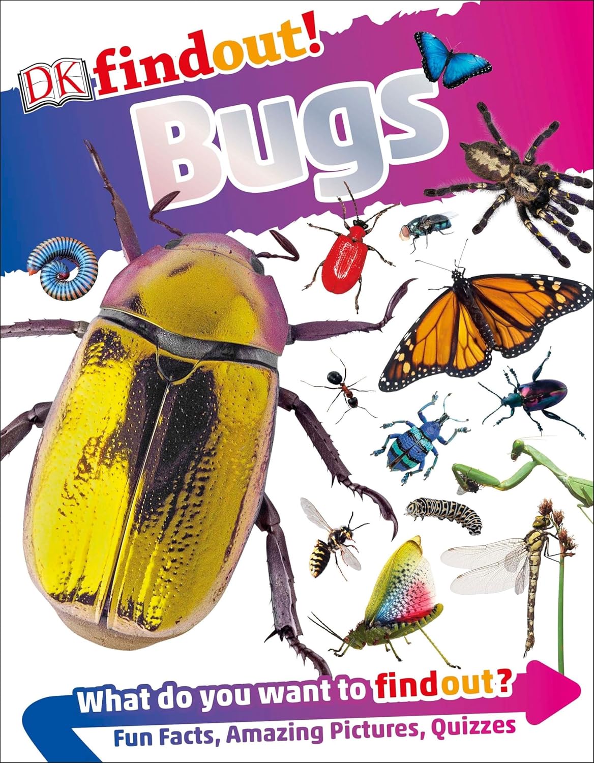 Amazon | DKfindout! Bugs (DK findout!) | Mills, Andrea, Reddick ...