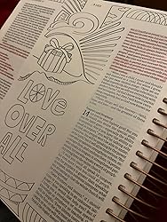 Amazon.com: NLT DaySpring Inspire Illustrating Bible, Filament Enabled ...