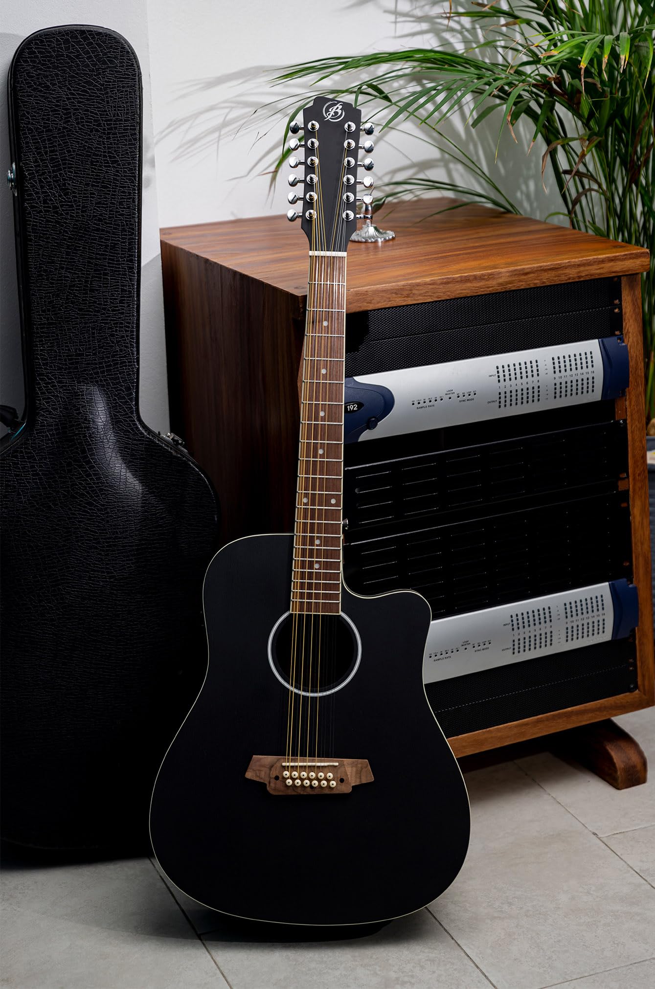 Bamboo 12 String Guitar, 12 String Acoustic Electric Guitar, Beginner ...