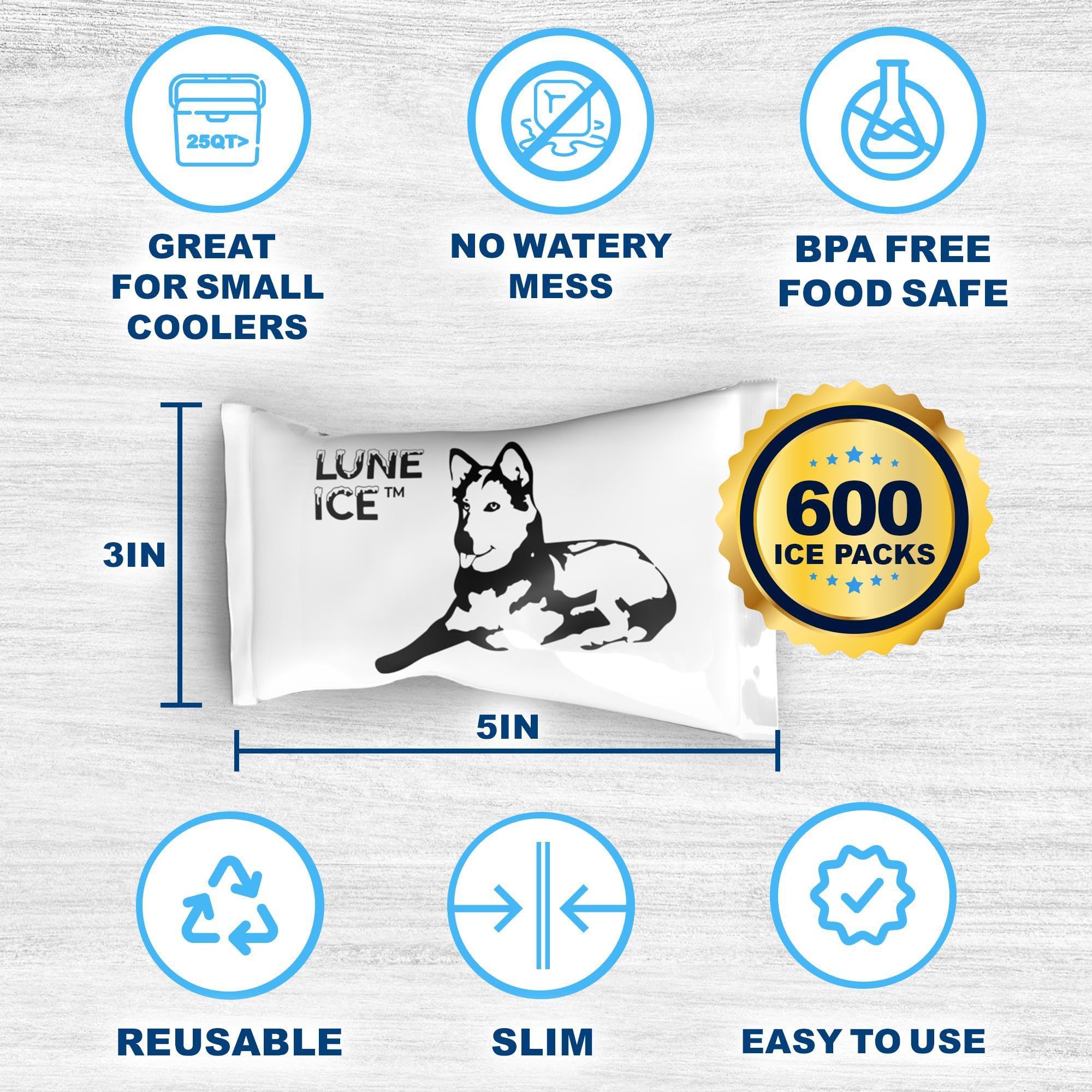 Snapklik.com : Ice Pack Bulk 12-600-Dry Ice For Shipping Frozen Food ...