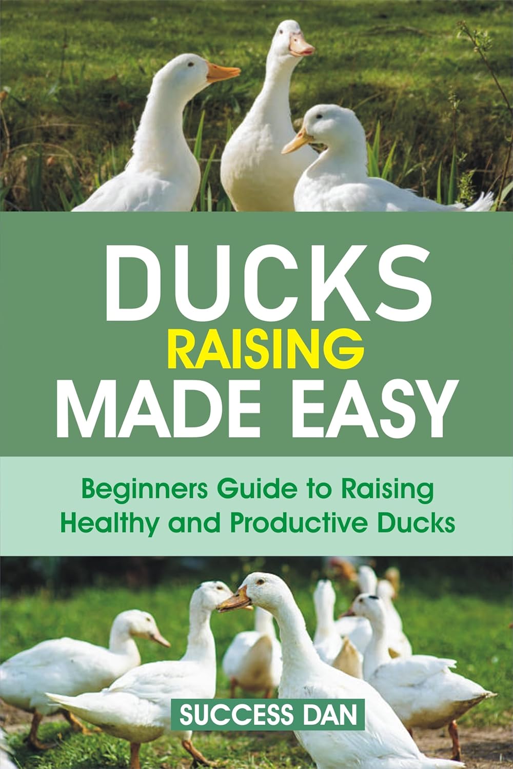 Amazon.com: DUCKS RAISING MADE EASY: Beginners Guide to Raising Healthy ...
