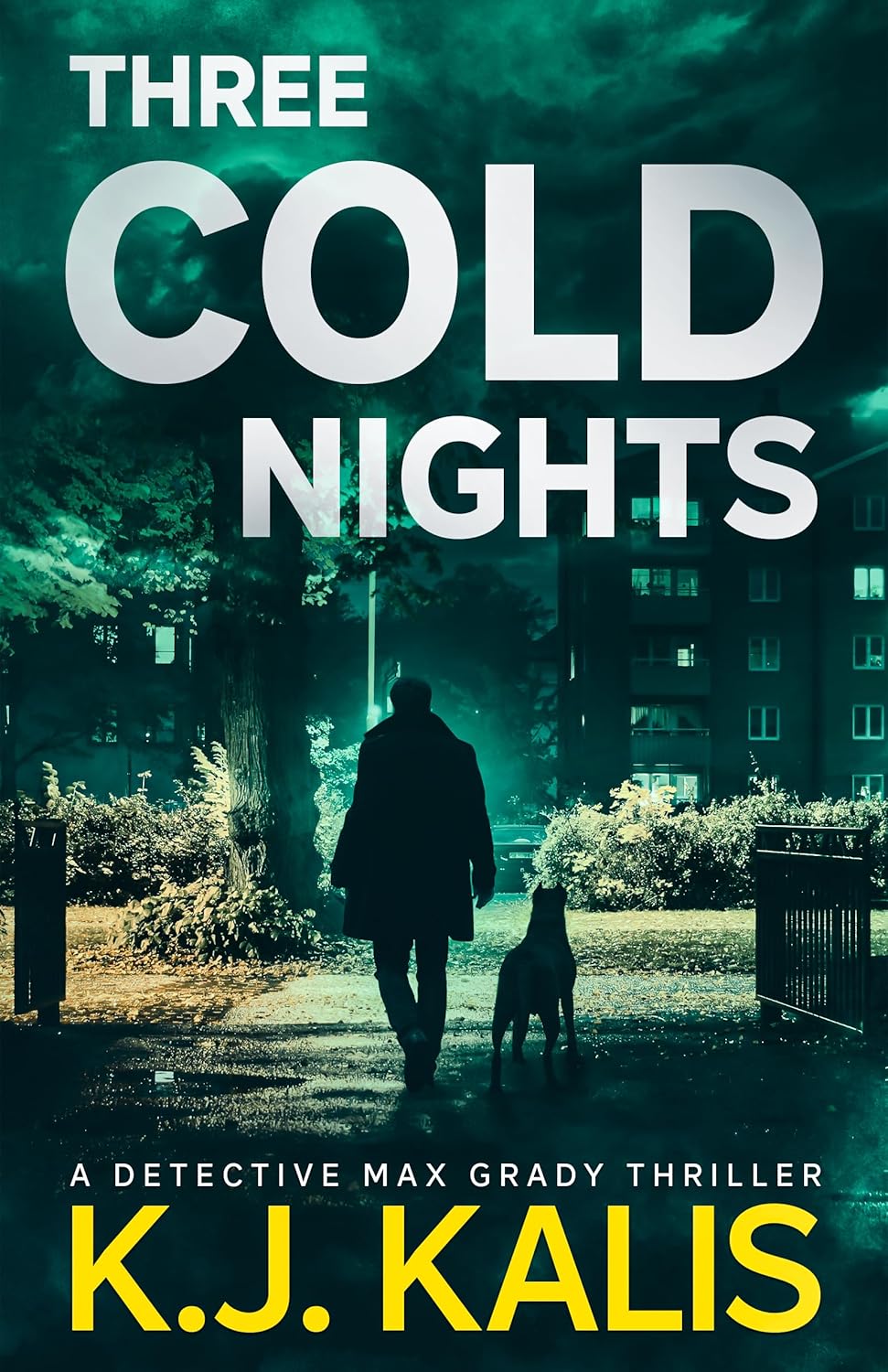 Amazon.com: Three Cold Nights: A Detective Max Grady Thriller ...