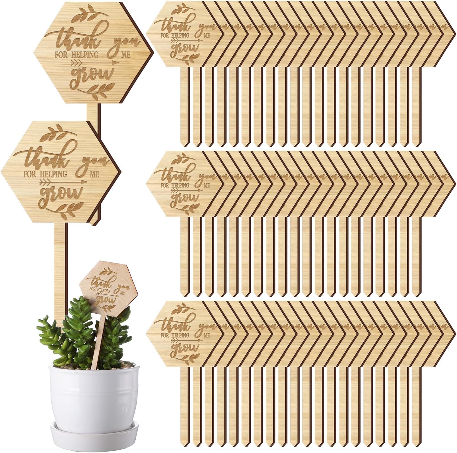 Amazon.com: Honbay 50PCS Wooden Succulent Tags Blank Hexagon Plant ...
